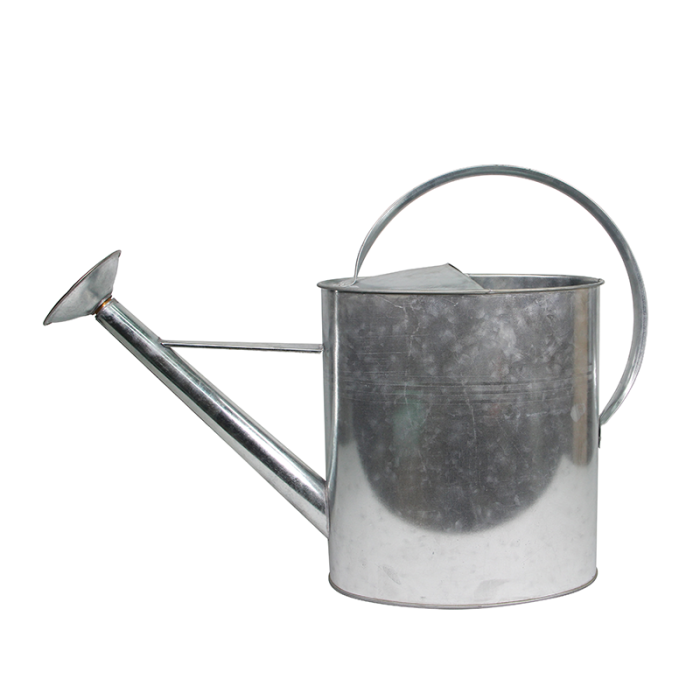 Vattenkanna Zink 10L (P-1590308) | Byggmax