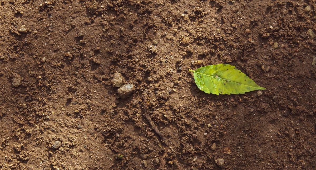 Köp Jord till bra pris hos Byggmax